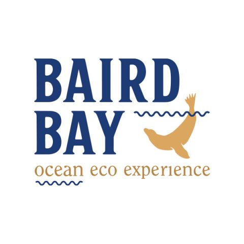 Baird Bay Sea Lion Tours | Wildlife Plus Australia